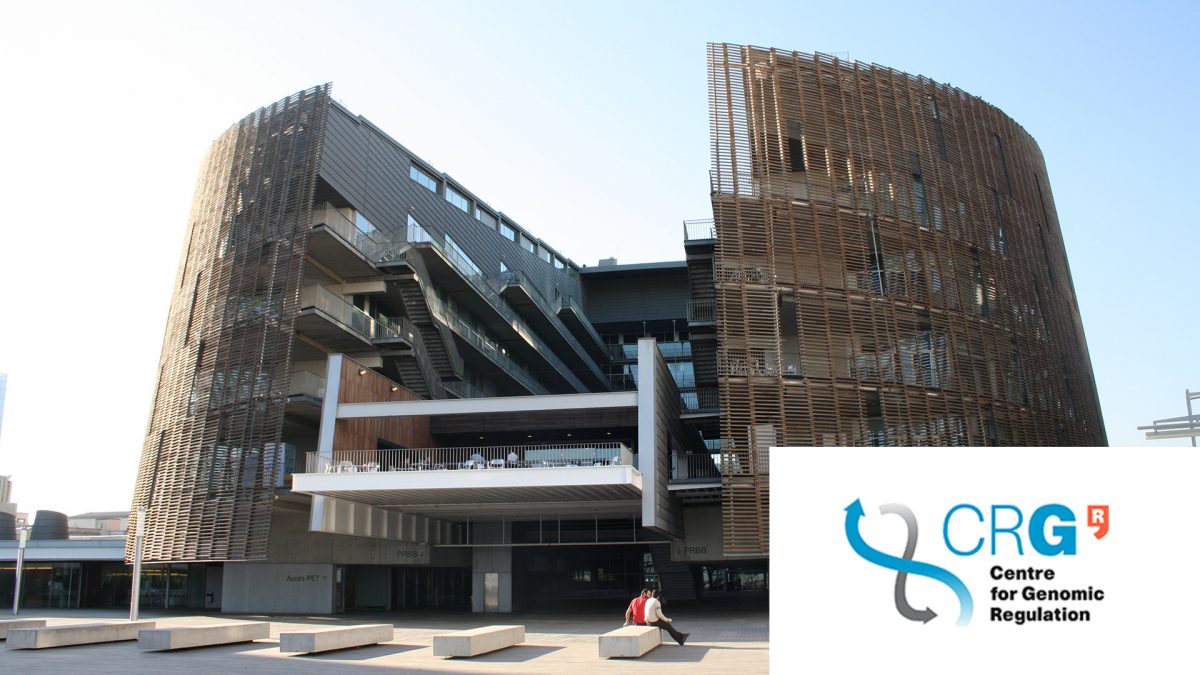 The Netherlands Cancer Institute (NKI) - Emerald